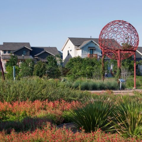 The Plan | Mueller Austin