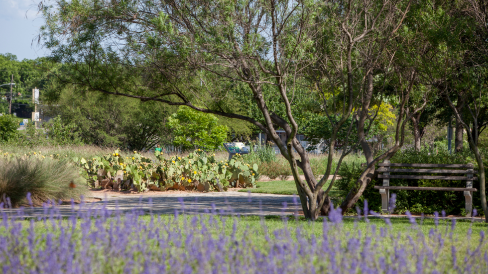 Hike and Bike Around Mueller | Mueller Austin